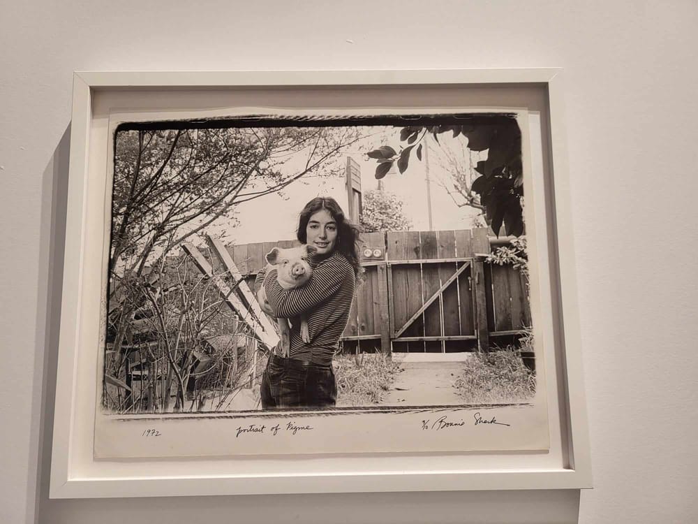 Bonnie Ora Sherk's Body of Work on Display in New Exhibit