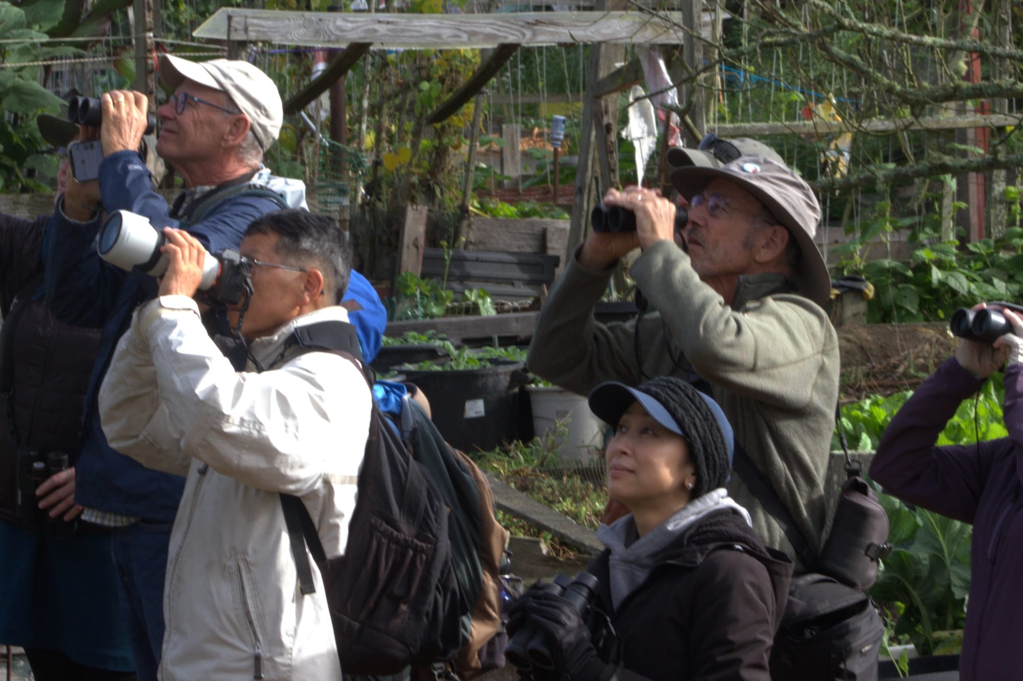 San Francisco Bird Watchers Flock To Ingleside's Brooks Park